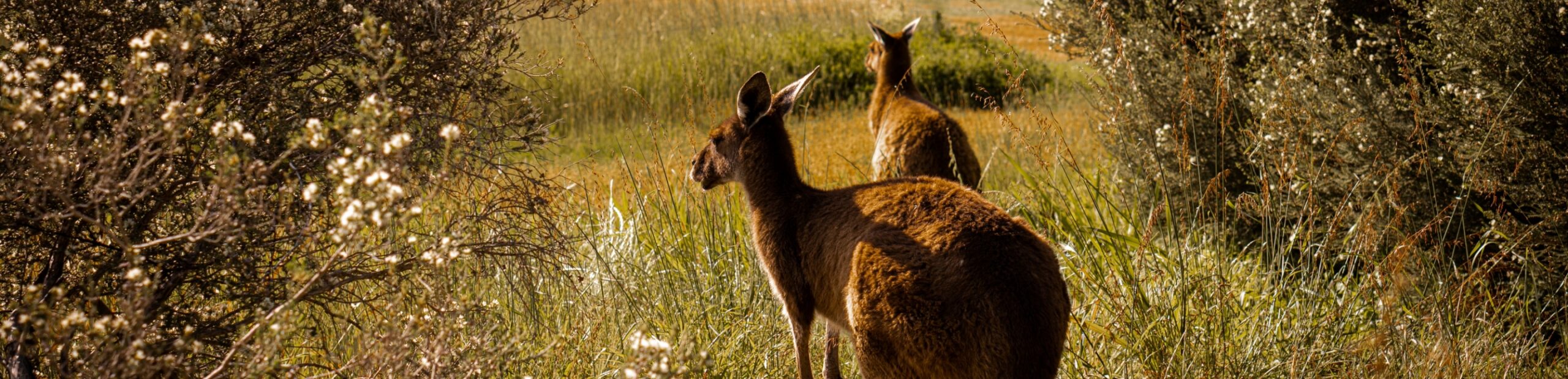 About Tri Nature | Environmentally Friendly Cleaning & Personal Care