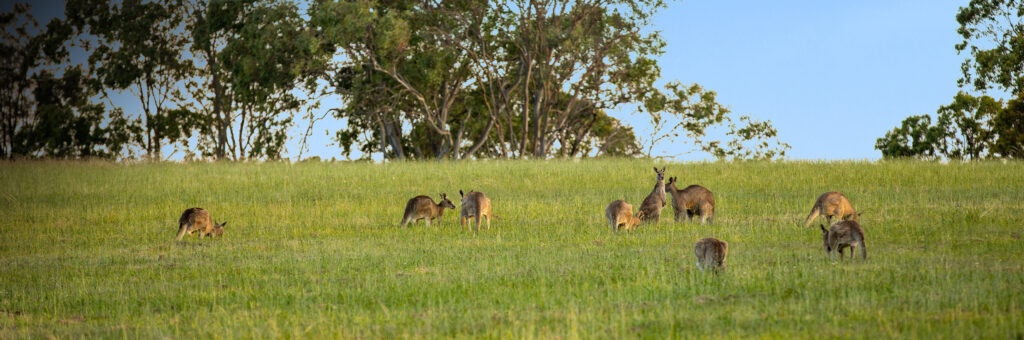 About us - Tri Nature