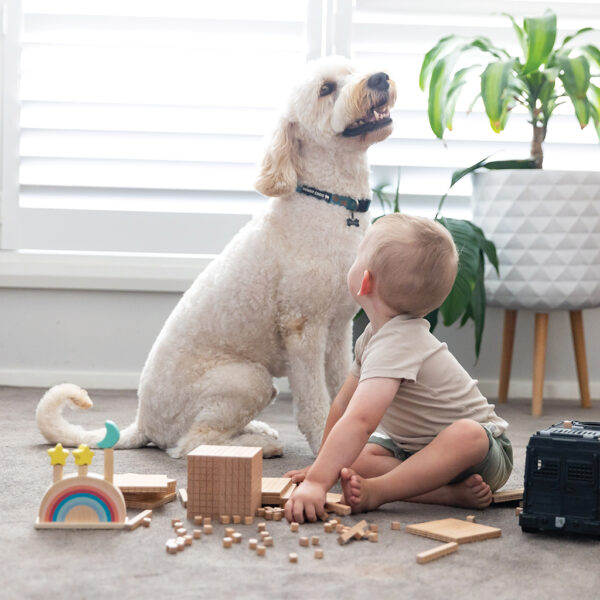 Become a consultant - Tri Nature