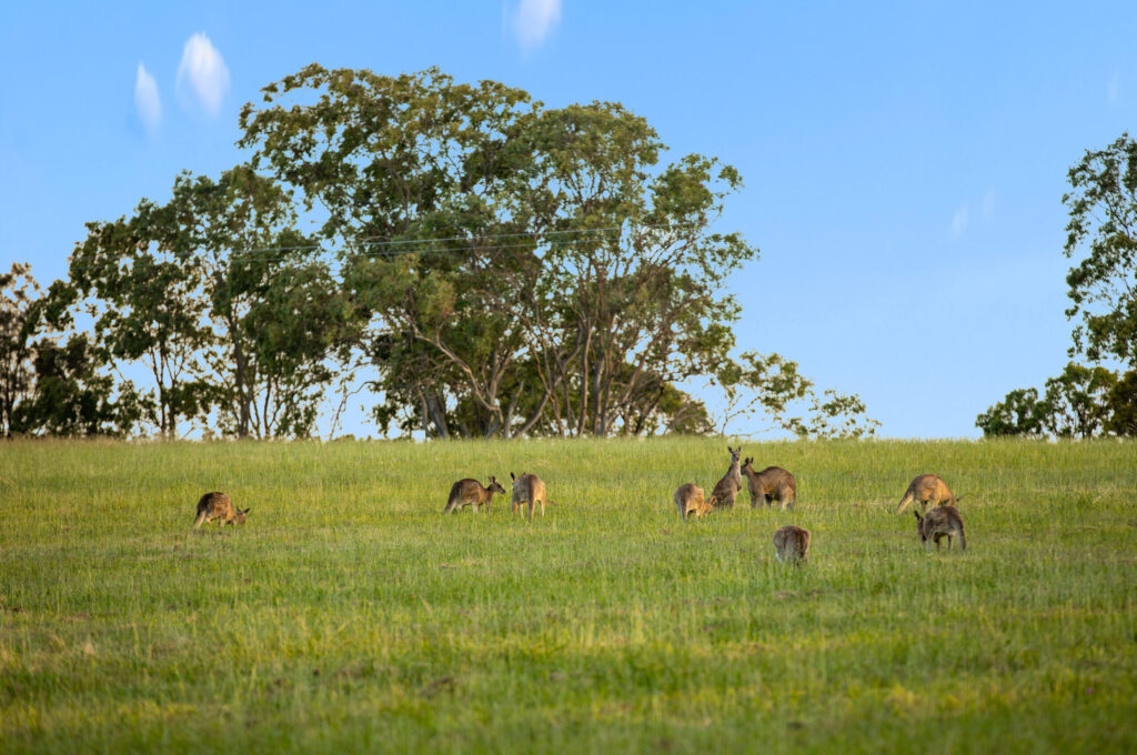 About us - Tri Nature